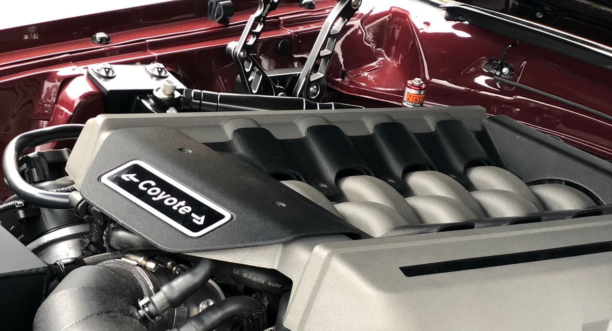 "Coyote" - Performance V8